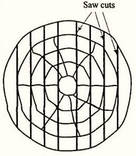 Wood as Construction Material - Types, Structure, Processing