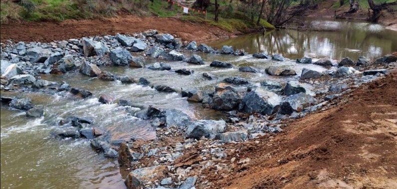 7 Types of Fish Ladders or Fishways
