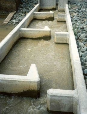 7 Types of Fish Ladders or Fishways