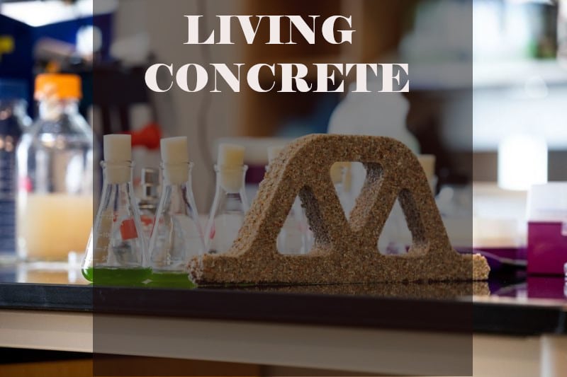 Living Concrete: Advantages and Problems - The Constructor