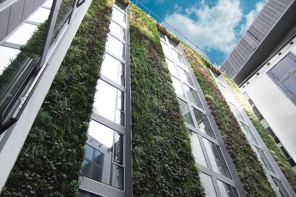 What are some Special Types of Cladding? - The Constructor